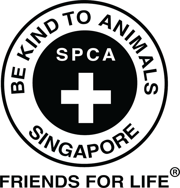 SPCA Singapore | Charities | NobleWills