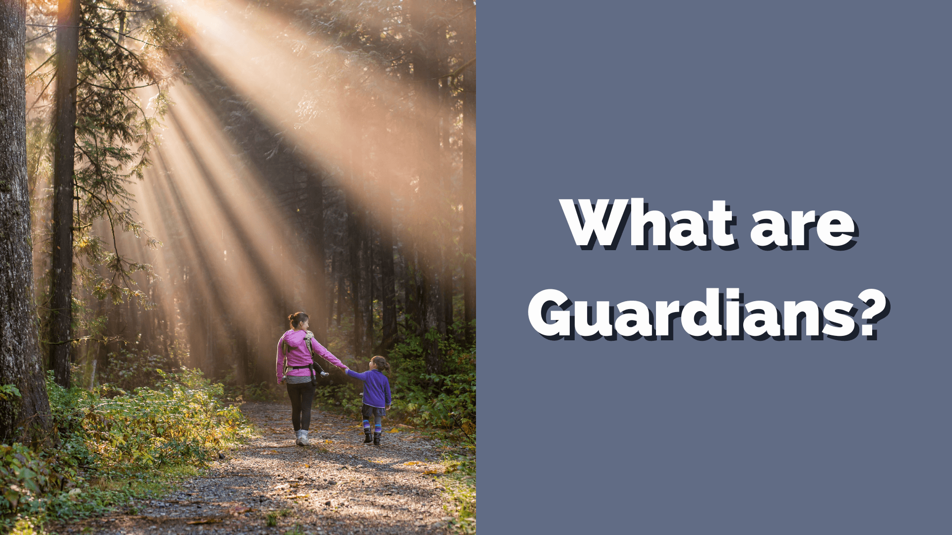 What are guardians? | NobleWills US