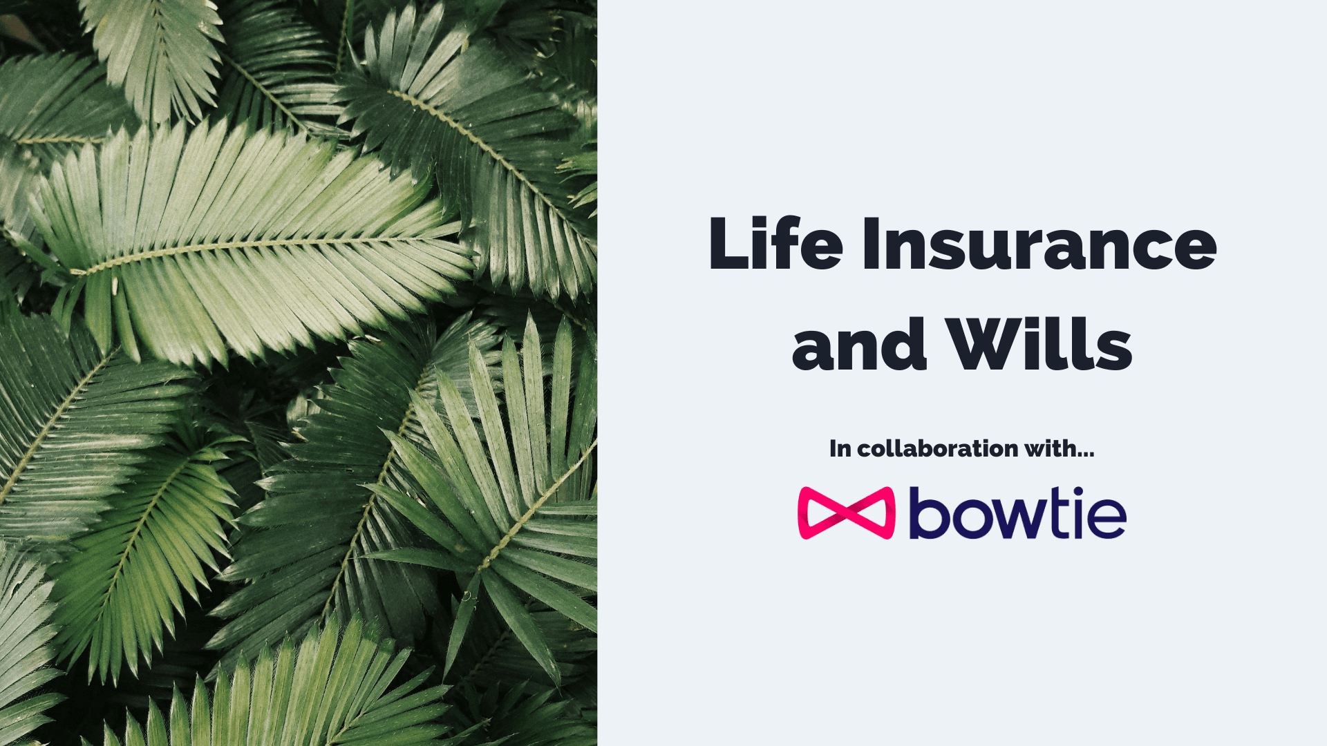 Term Life Insurance and Wills in Hong Kong | NobleWills HK